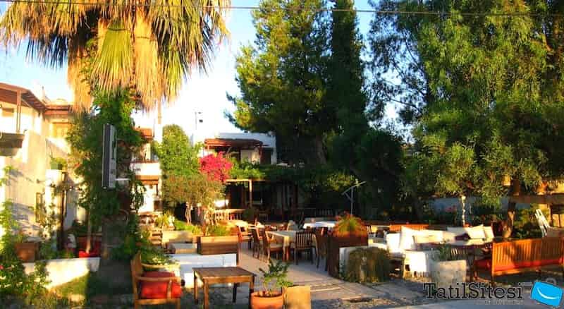 Kaktus Cicegi Hotel Bodrum / Tatil Sitesi.com | Tatil Sitesi.com