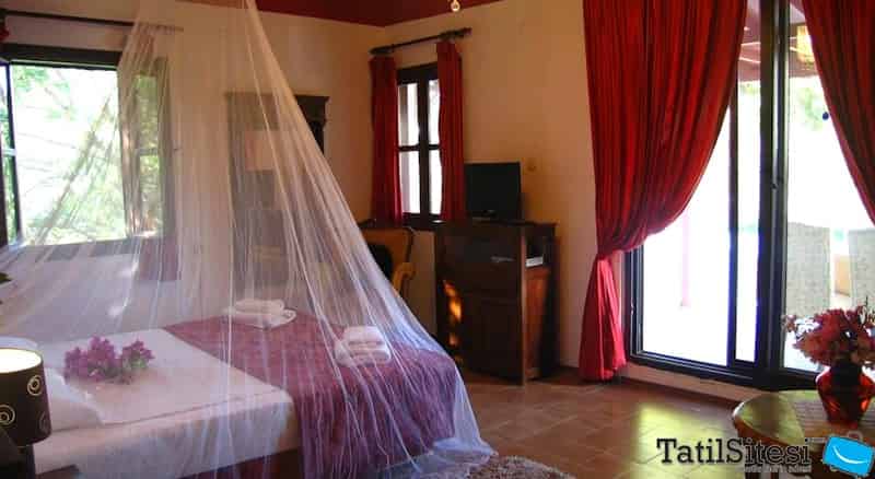 Kaktus Cicegi Hotel Bodrum / Tatil Sitesi.com | Tatil Sitesi.com
