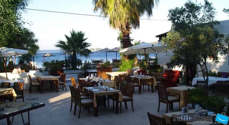 Kaktus Cicegi Hotel Bodrum / Tatil Sitesi.com | Tatil Sitesi.com